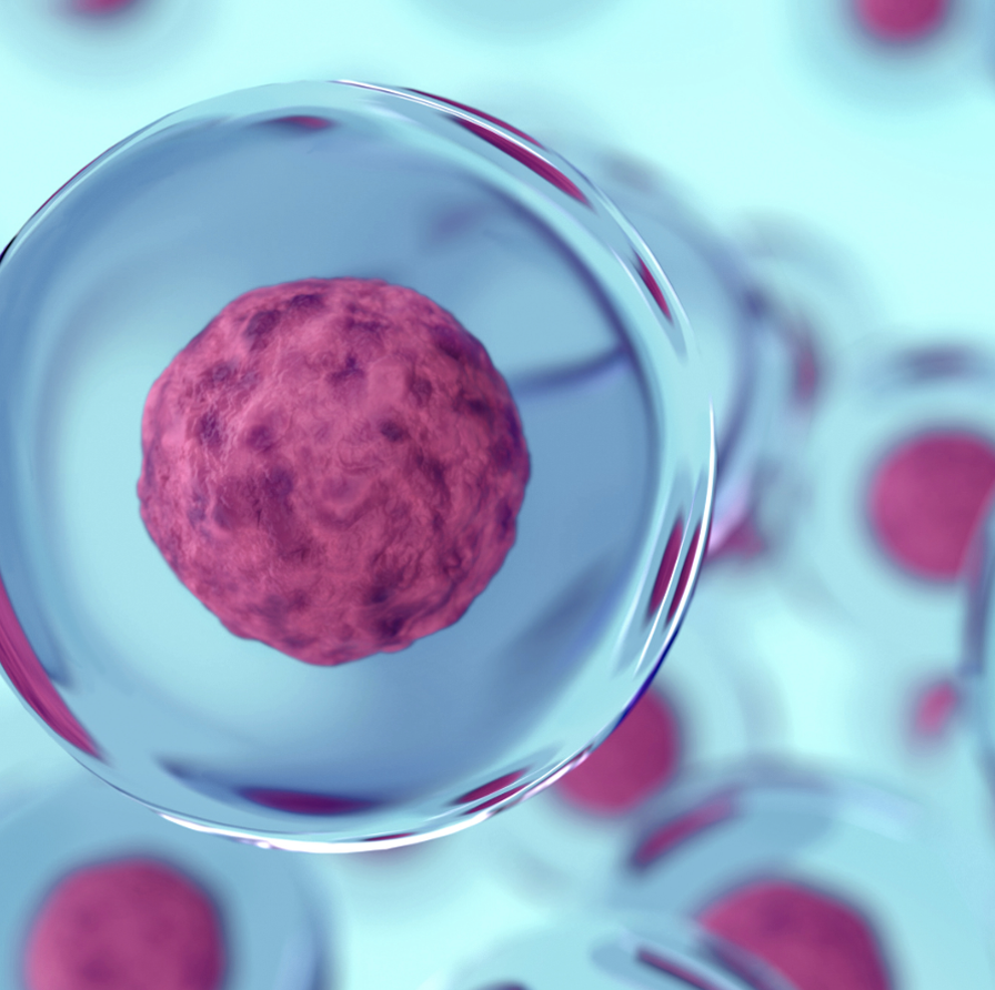 C-STARS - Center for Science, Technology and Advanced Research